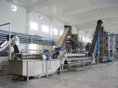 Cina Linea di produzione di piccoli frutti dell'impianto di lavorazione del succo di mango completo in vendita