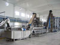 China High Quality Customized Mango Juice Processing Machine Mangga/Mango Pulp Production Plant Mango Processing Line Sus304/316 for sale