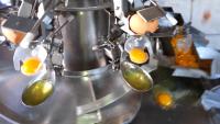 China Factory Automatic Egg Washing Breaking Egg Liquid Pasteurization Making Machine for sale