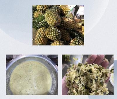 Macchina per il succo di ananas per pressatura a vite
