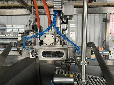 中国 2L / 10L / 20L 連続バッグ イン ボックス 汁 / 牛乳 / オイル フィルリング マシンのための完全自動アセプティック BIB フィルラー 販売のため