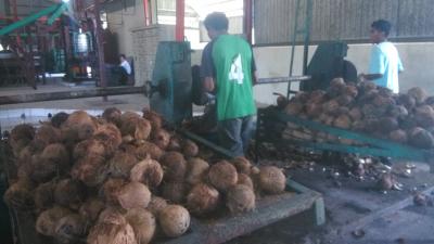 Cina Macchina utensile integrata dell'olio di cocco in vendita