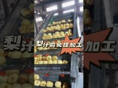 Pear Destoner Industrial Juicer Machine , Mango Juice Machine Manufacturers 