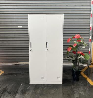 China Heavy Duty Cabinet with Double Door Garage Storage Cabinet for Workshop, Office Building for sale
