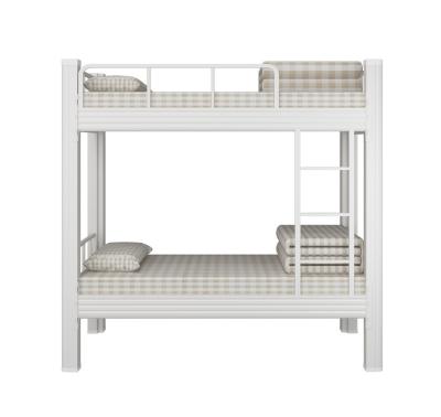 China Modern  Twin Double Full Size Bunk Bed Stainless Steel Frame Easy Disassemble Dormitory Students School College Bedroom Hotel for sale