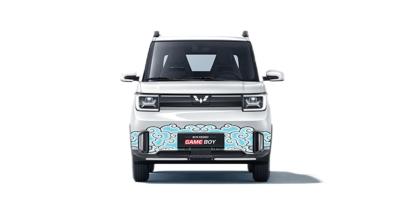 China Het Voertuig die van GMT Wuling de Vinyldraak van het Omslagmpi 1105 Beeldverhaal verwijderen Te koop