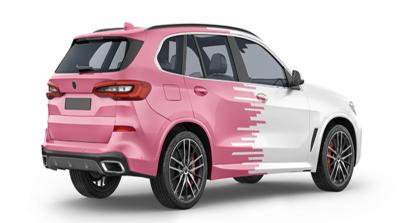 China De roze en witte van de de Autoomslag van de Lijnen Digitale Druk Vinyl Zwarte Witte Rode Manier Te koop