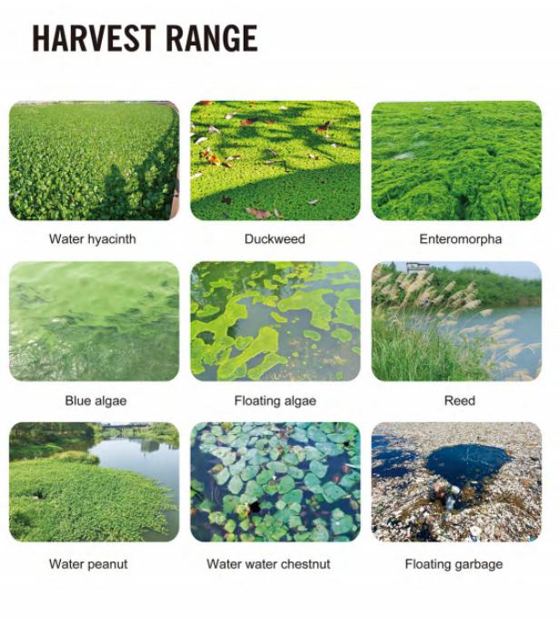 Water Hyacinth Harvester Vessel with 24 Cubic Meters/Hour Diesel Drive Gearbox 1
