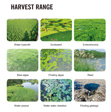 High efficiency and environmentally friendly mowing boat 4