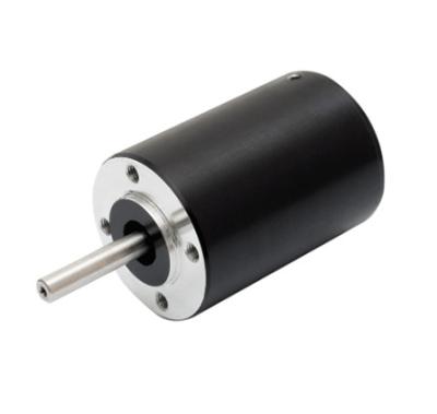 Cina Prevale la marca ha personalizzato il motore 36mm 24V 3400RPM 20gcm 0.42A di BLDC in vendita