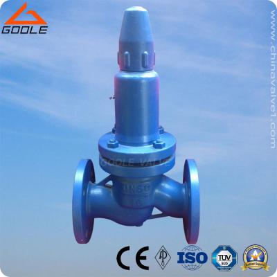 China Parallel LPG Safety Reflux Valve (GAHN42F-P18) for sale
