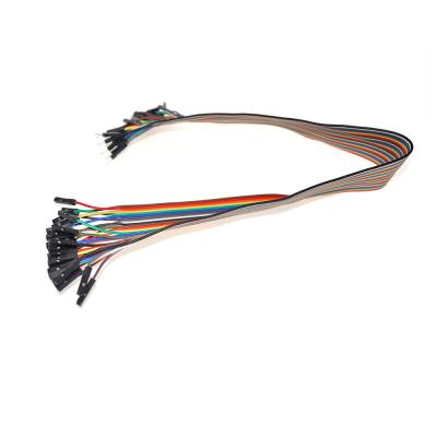 China 40cm 40 Pin Male To Female Solderless Broodplank Jumper Wires Te koop