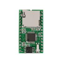 China RS232 Communication SD Card Module WT5001M02-28P With SPI Interface for sale
