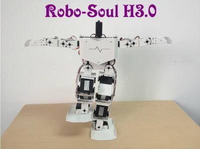中国 ロボット工学装置の大きいトルク デジタル サーボ サポート 17 DOF 人体ロボットのロボット 販売のため