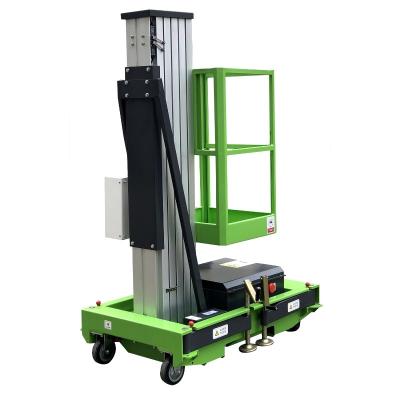 China Mobile Single Mast Electric Vertical Lift 10m Platform Height 130kg Load Capacity for sale