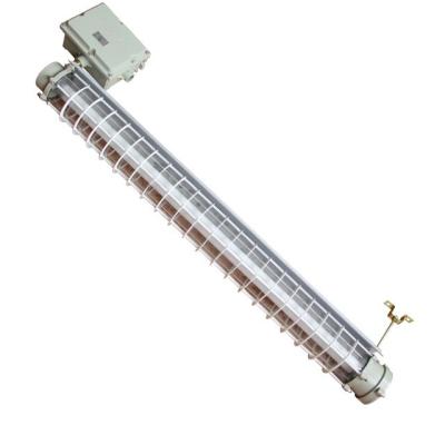 Cina Doppio a 12 pollici a 18 pollici protetto contro le esplosioni delle luci fluorescenti 2ft di T8 T10 2x20W lineare in vendita