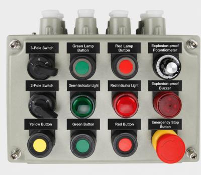 China Custom Explosion-Proof Control Panels, Junction Boxes & Electrical Enclosures for sale
