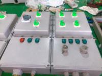 China IP65 Explosion Proof Distribution Box Control Panel Corrosion Resistant for sale