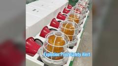 Explosion Proof Alarm Siren Visual Warning Light