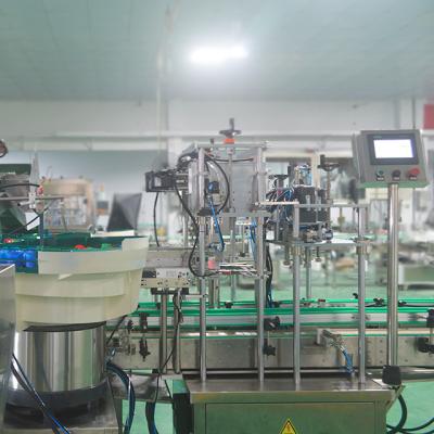 Cina 6000 bottiglie all'ora Lavatrice di piatti Linea di imbottigliamento del detersivo liquido con 10 teste di tappo in vendita