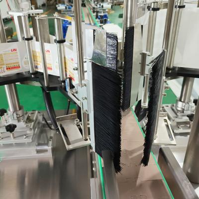 Cina 6000 bottiglie all'ora Lavatrice di piatti Linea di imbottigliamento del detersivo liquido con 10 teste di tappo in vendita