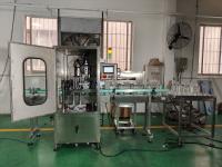China PLC Controlled Affordable Single-Head Servo Capping Machine for Beverage Industry for sale