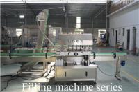China Mechanical Driven Multi-Head Servo Piston Filling Machine with Customizable Precision for sale
