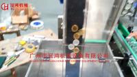 China 25-150 Caps/Minute Sorting Elevating Type Bottle Capper with Video Inspection Provided for sale