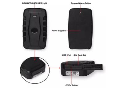 Cina L'inseguitore che magnetico portatile di 4G GPS 10000mah SMS interrogano la posizione per le automobili trasporta i camion in vendita
