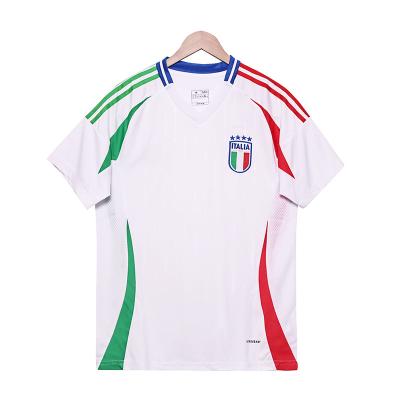 China Italy 2024 Away Fan Edition Jersey Group Customization for sale
