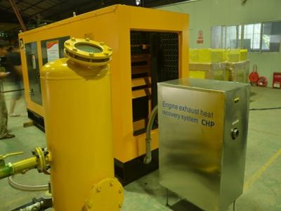 China Biogas purification system H2S scrubber filter system Equipment for sale