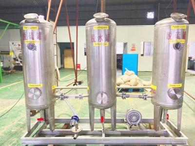 China Biogas purification system H2S scrubber filter system Equipment for sale