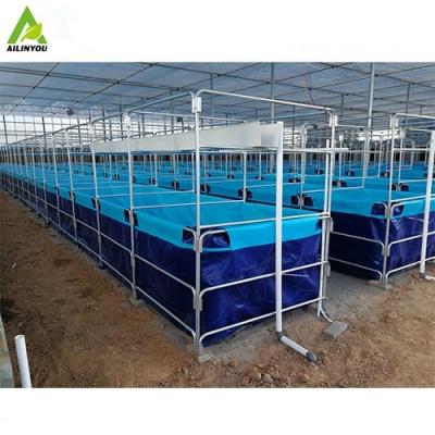 China Collapsible Shrimp Tank for Indoor Shrimp Farm Biofloc Automatic Hydroponics System Tanks for sale