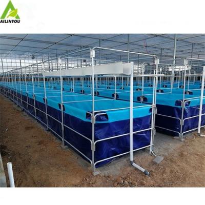 China Hot Sale RAS Biofloc Aquacture Tank Custom Aquaponic System for Fish and Vegetable for sale