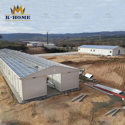 Cina Tettoia moderna prefabbricata d'acciaio dell'azienda avicola di basso costo in vendita