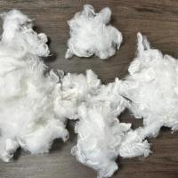 China Crimp Polyester Staple Fiber Medium Crimp 1.2-15dtex White Grade A for sale