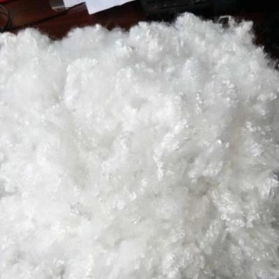 Cina 1.2-15 Dtex Polyester Staple Fiber In White Black Grey And Colorful in vendita