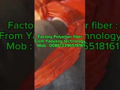 Clothing Staple Fiber Polyester Medium Crimp Artificial Staple Fibres