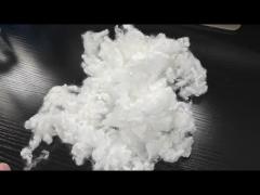 Polyester Staple Fiber
