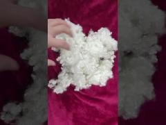 Polyester Staple Fiber