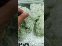 Polyester Staple Fiber 011