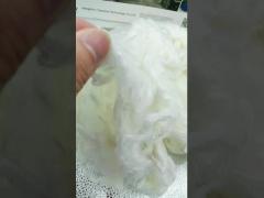 Polyester Staple Fiber 010