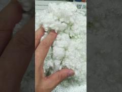 Polyester Staple Fiber 001