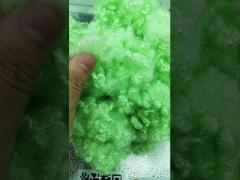 Polyester Staple Fiber 009