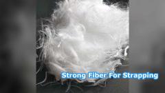 High Strength Virgin Polyester Fiber For Strapping