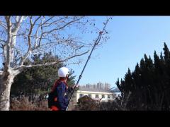 elektrische telescopische boom snoeier