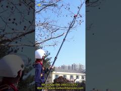 헤비 듀이비 숲 절단 키트: 50FT 망원경 탄소 막대기 나무 절단기 & 20Ah 배터리 가볍고 강력