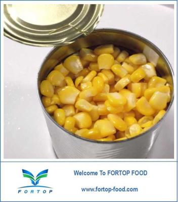 China Canned Sweet Corn Kernel for sale