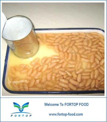 China Canned  White Kidney Bean for sale