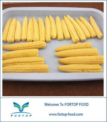 China Canned Baby Corn in Vinegar for sale